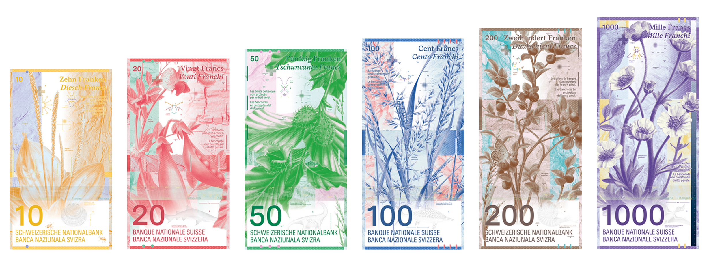 Project new banknote series